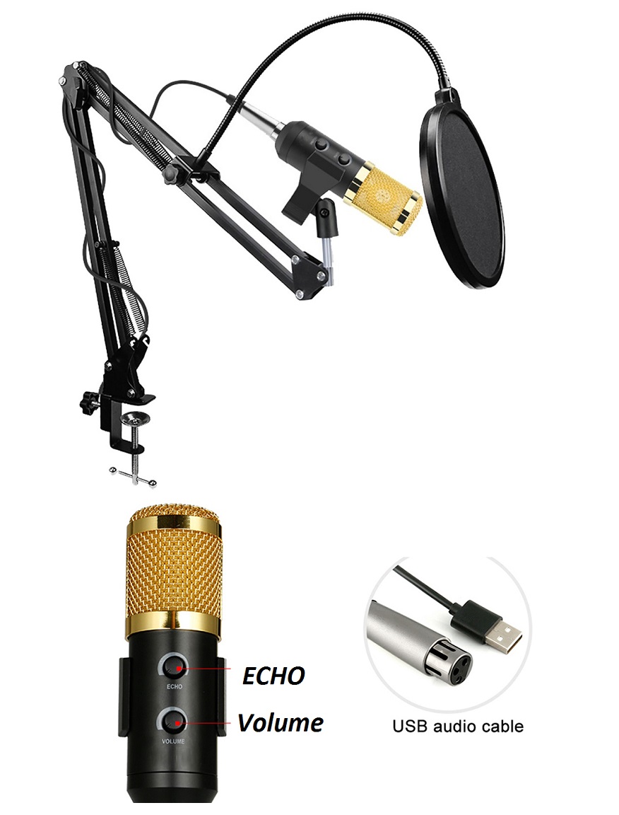 Jual Microphone Condenser BM-900 USB + Arm Stand + Pop Filter - Rosy ...